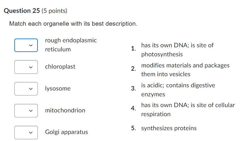 Solved Question 25 (5 points) Match each organelle with its | Chegg.com