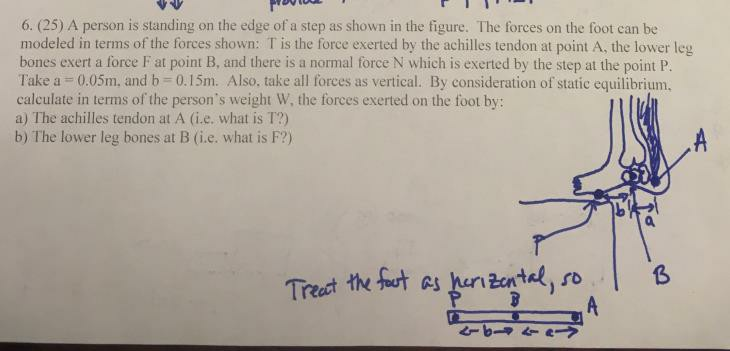 Solved 6. (25) A person is standing on the edge of a step as | Chegg.com