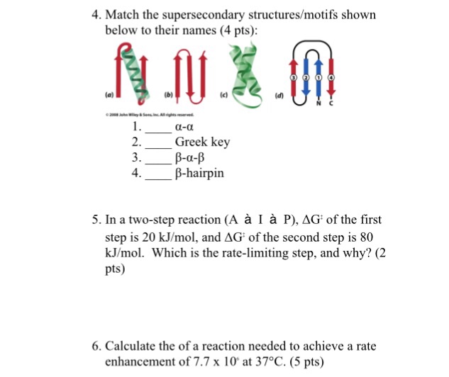 Solved Match the super secondary structures/motifs shown | Chegg.com