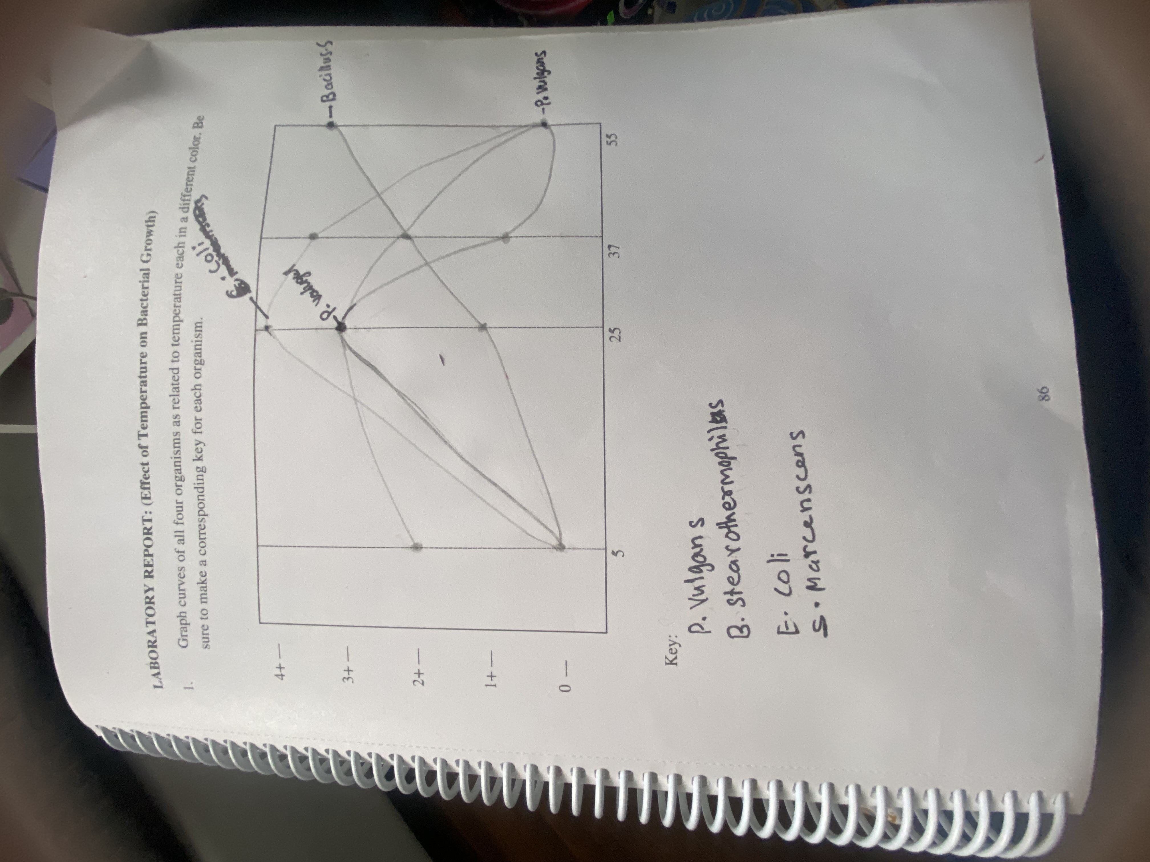 Solved LABORATORY REPORT: (Effect of Temperature on | Chegg.com