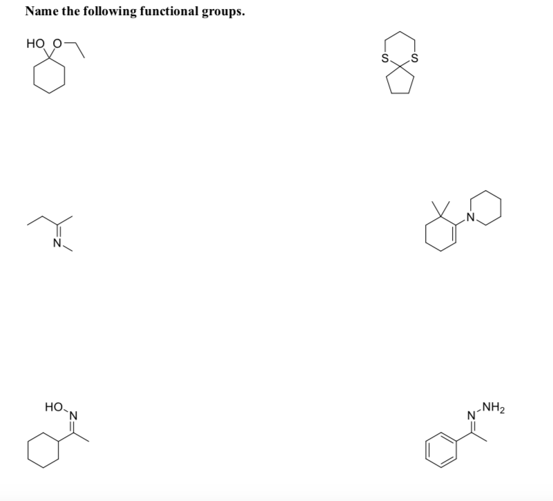 Solved Name the following functional groups. 1 HOO x N-NH B | Chegg.com