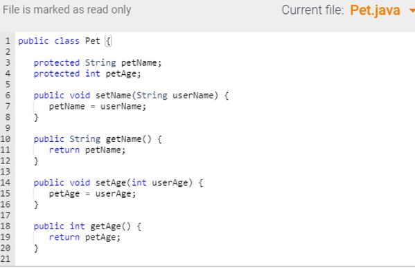 Solved Current file: Petinformation.java 11 12 13 14 15 3 | Chegg.com