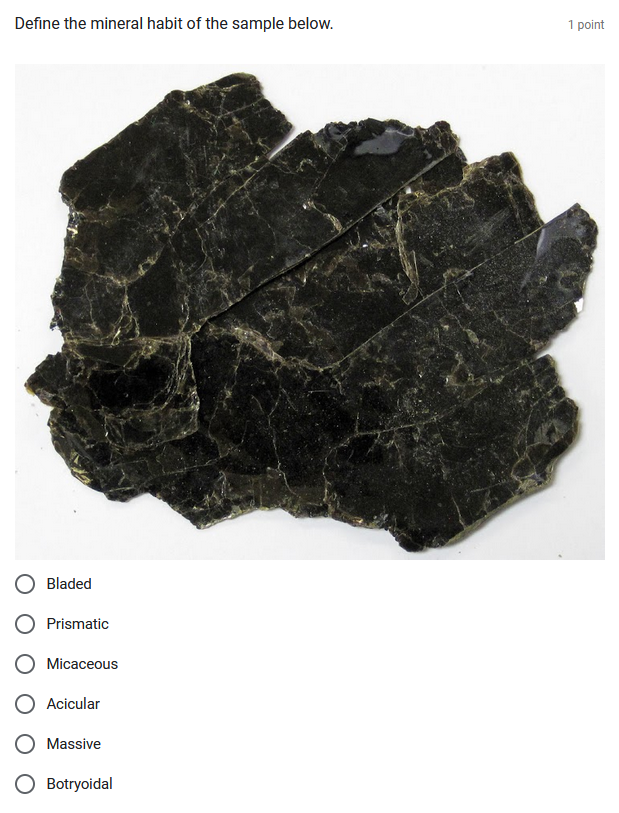 Solved Define the mineral habit of the sample below. 1 point | Chegg.com
