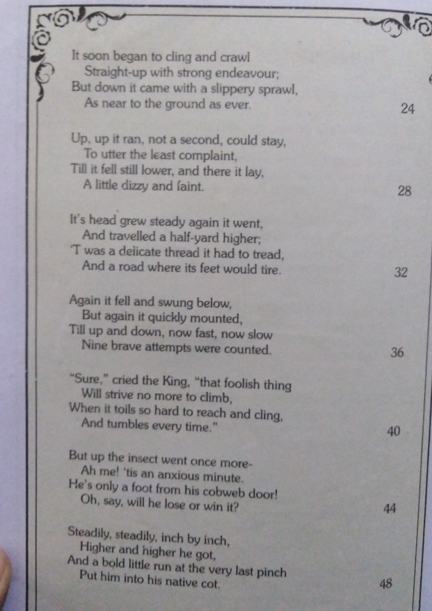 Summary Of Poem King Bruce And The Spider | Sitedoct.org