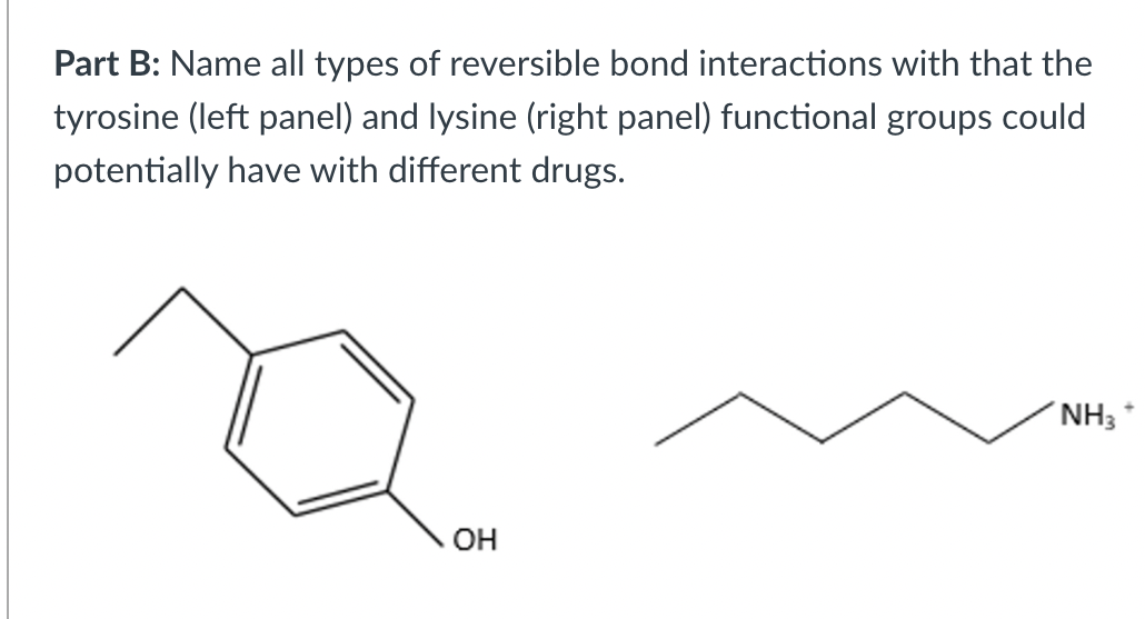 Solved Part B: Name all types of reversible bond | Chegg.com