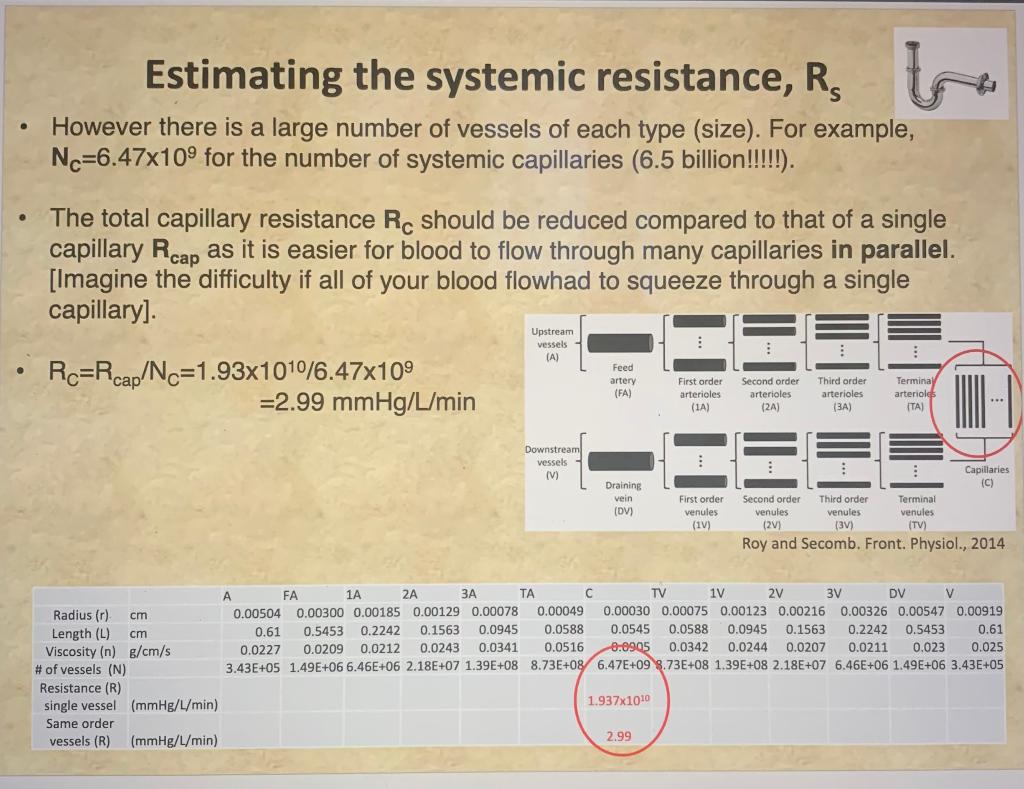 Estimating the systemic resistance, Rs - The | Chegg.com