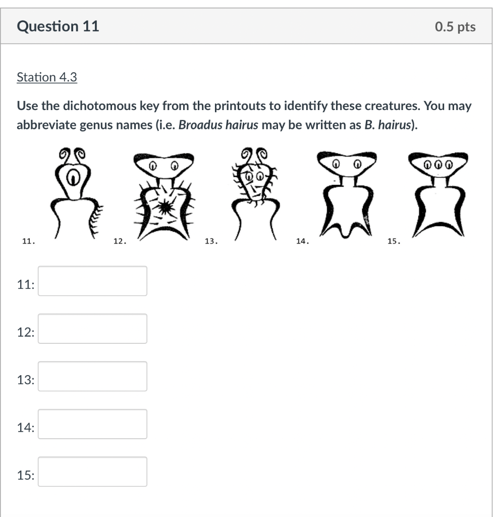 Solved Use the dichotomous key from the printouts to | Chegg.com