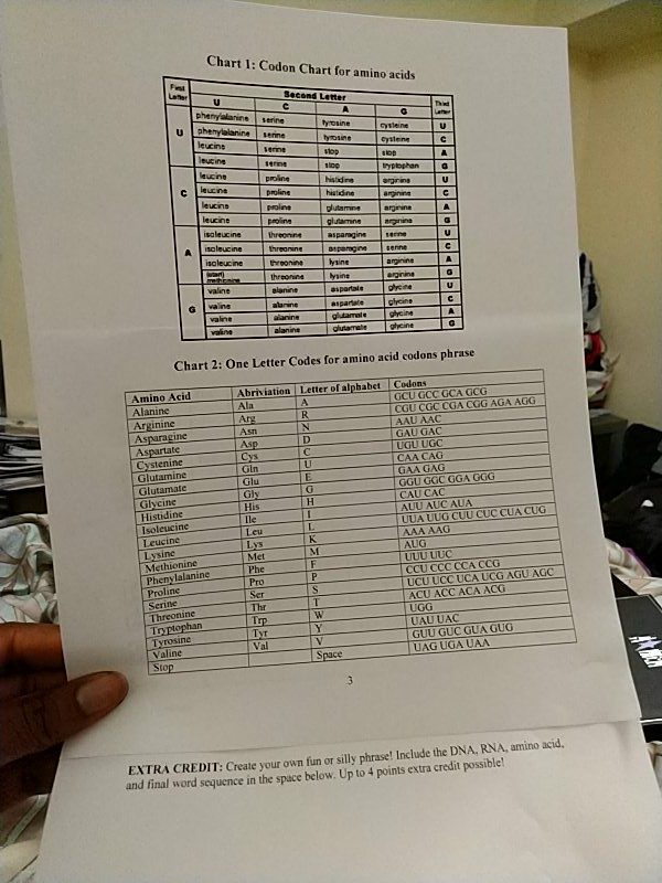 Solved Chart 1: Codon Chart for amino acids Second Letter | Chegg.com