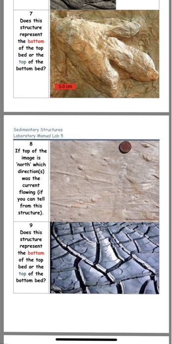 Solved LAB EXERCISES Using the sedimentary structures | Chegg.com