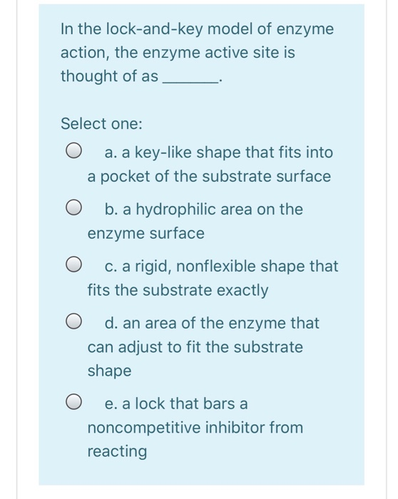 Solved In the lock-and-key model of enzyme action, the | Chegg.com