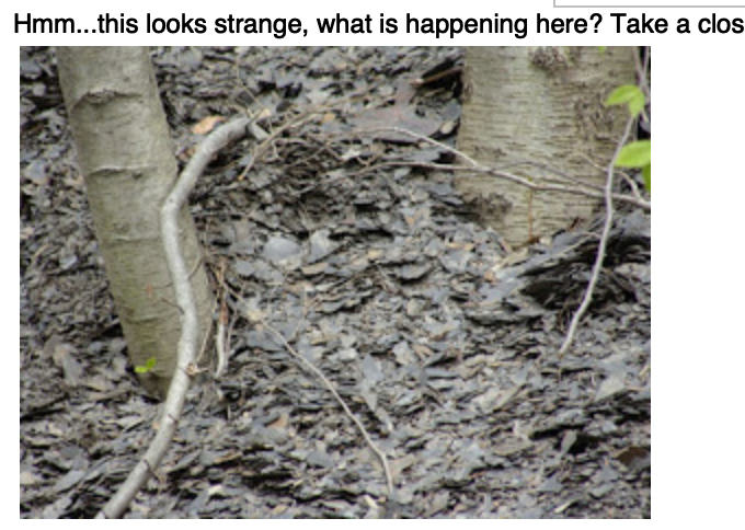 Solved 1)what is happening here? (Sluff Wall) 2)What kind of | Chegg.com