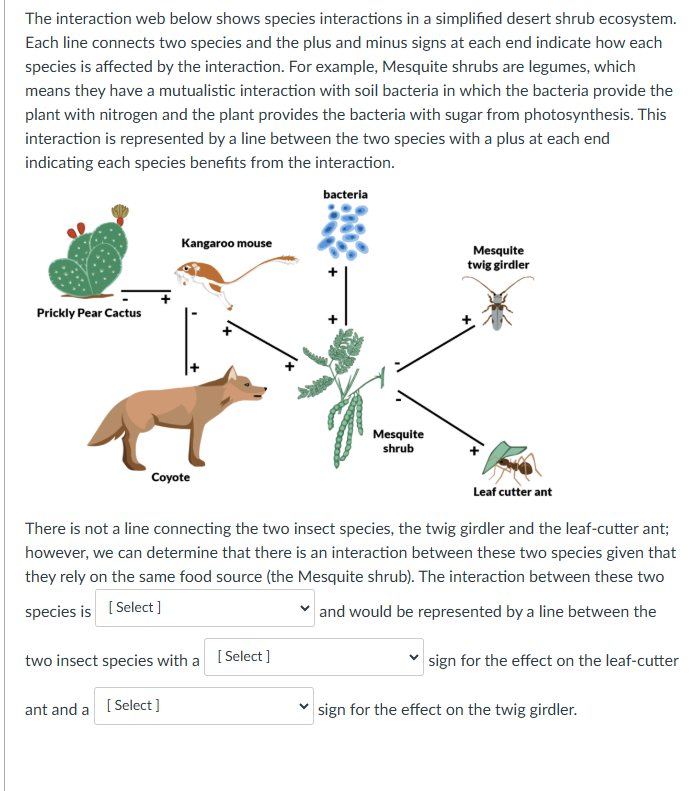 Solved The interaction web below shows species interactions | Chegg.com