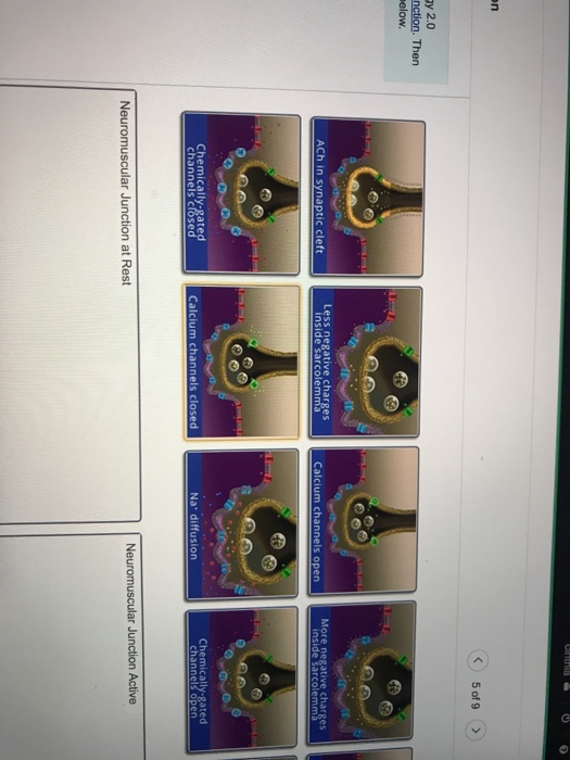 Solved 5 of9 Part C 2.0 tion. Then Drag each tile to the | Chegg.com Solved 5 of9 Part C 2.0 tion. Then Drag each tile to the | Chegg.com
