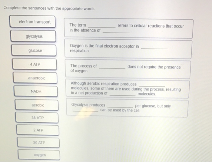 Solved Complete the sentences with the appropriate words. | Chegg.com