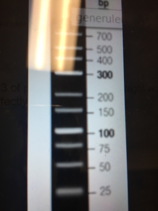 Solved Complete the following pre-lab questions before lab. | Chegg.com