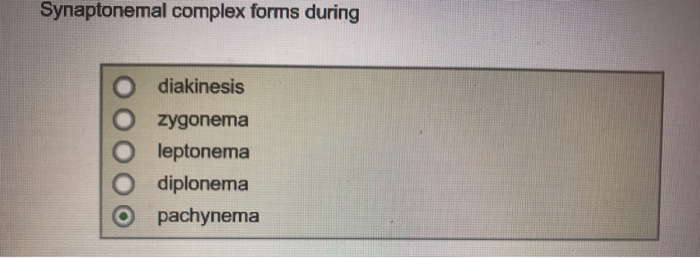 Solved Synaptonemal complex forms during O diakinesis O | Chegg.com