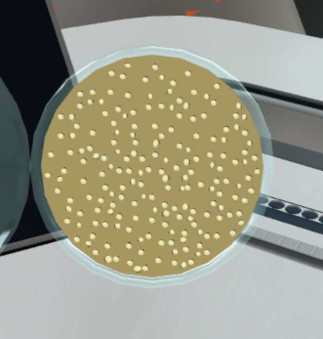 Solved Which plate has the most countable colonies? Use the | Chegg.com