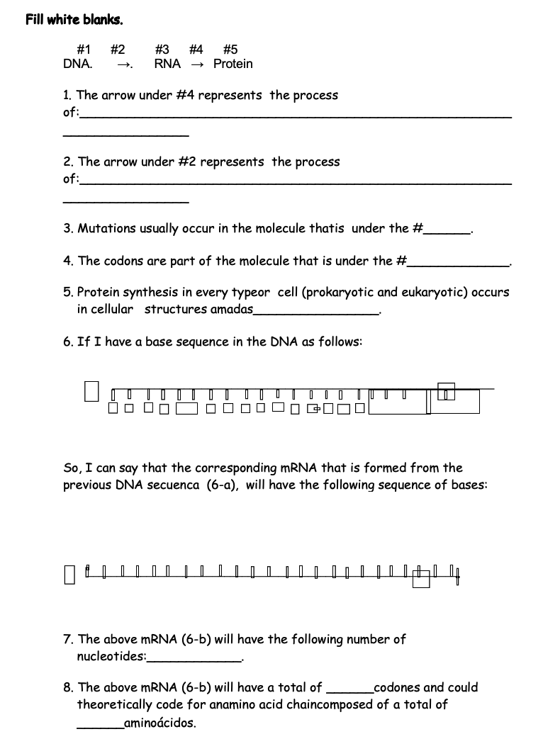 Solved Fill white blanks. #1 DNA. #2 → #3 #4 RNA - #5 | Chegg.com