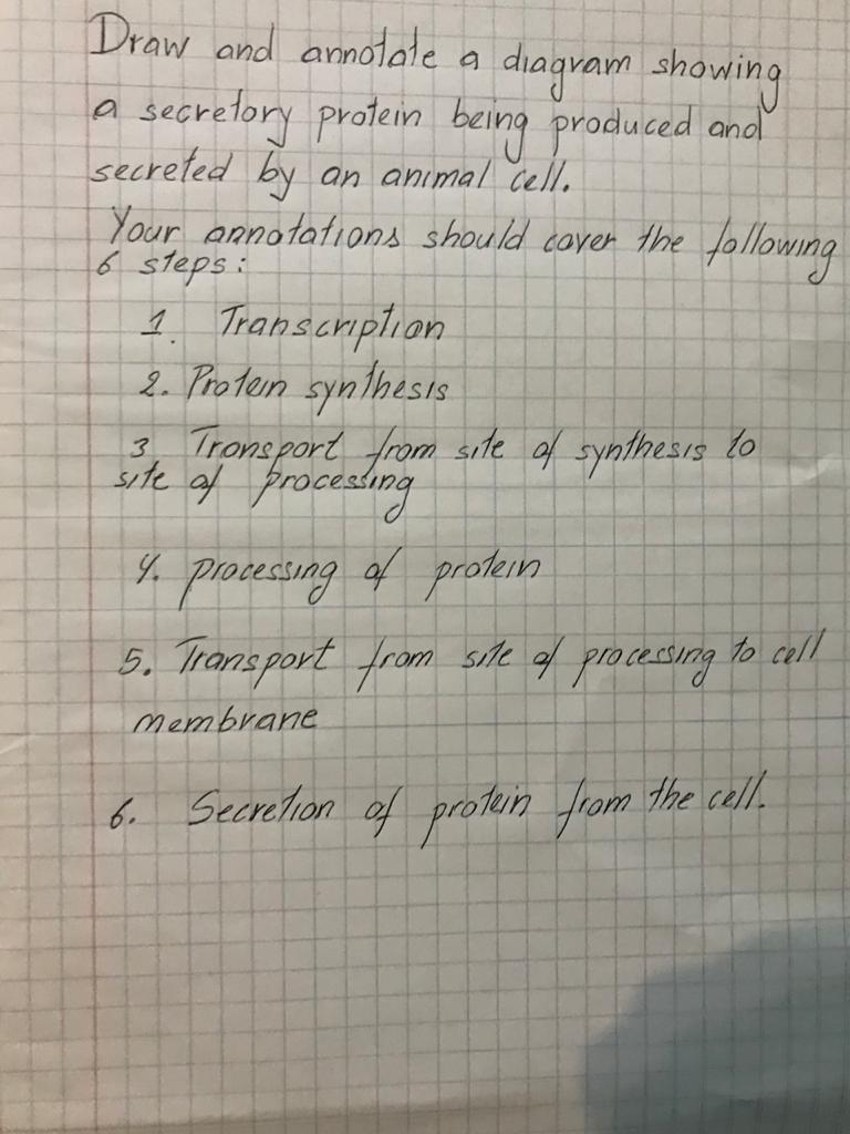 Solved Draw and annotale a diagram showing 1 a secretory | Chegg.com