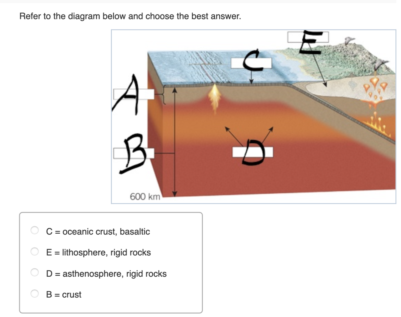 Solved Refer to the diagram below and choose the best | Chegg.com