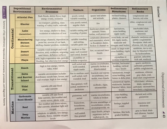 Solved Depositional Environments 51 Exercise 4 3. Rocks of | Chegg.com