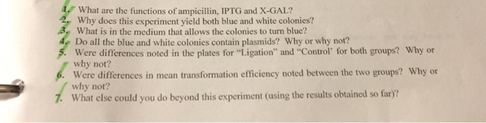 What are the functions of ampicillin, IPTG and X-GAL? | Chegg.com