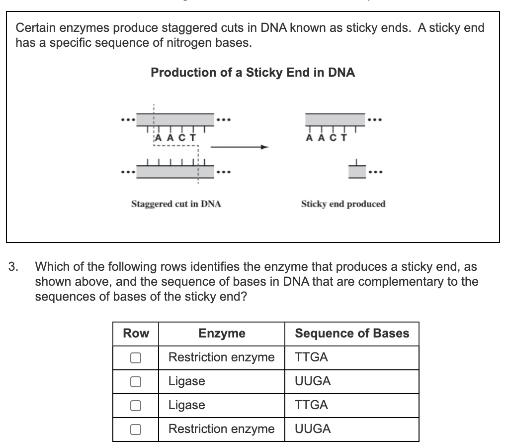 Solved Certain enzymes produce staggered cuts in DNA known | Chegg.com