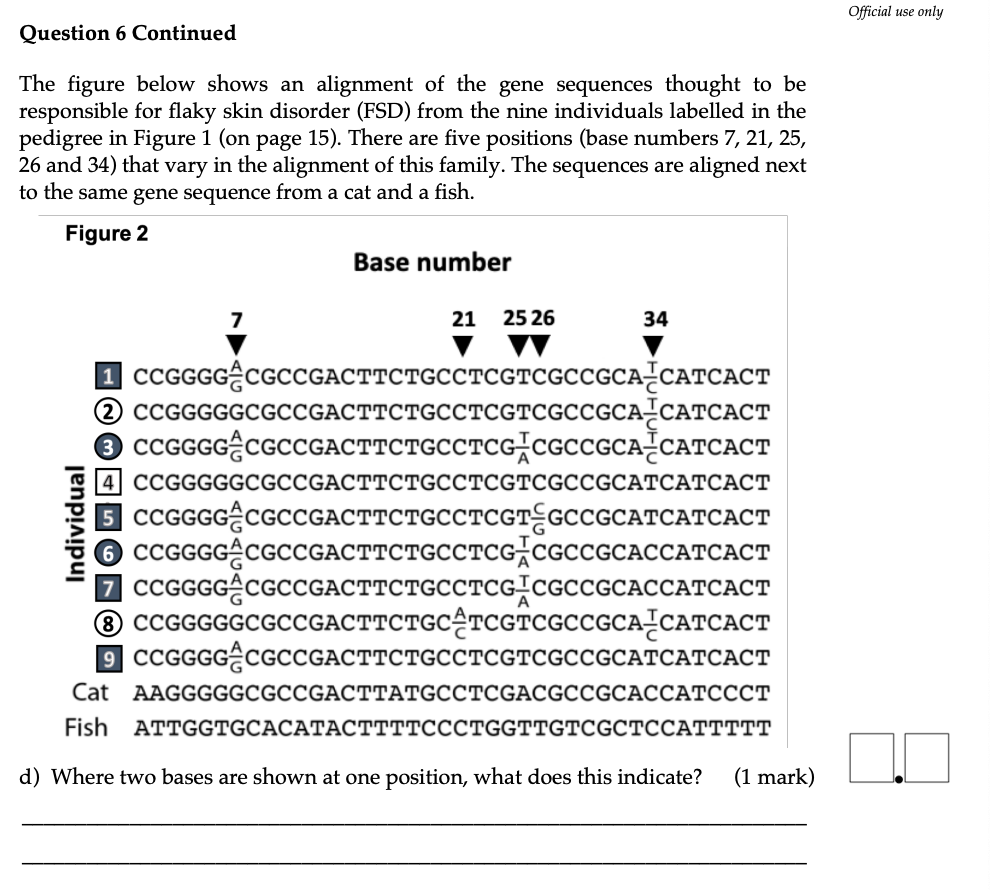 Solved vWhat does it mean if two bases are shown at one | Chegg.com