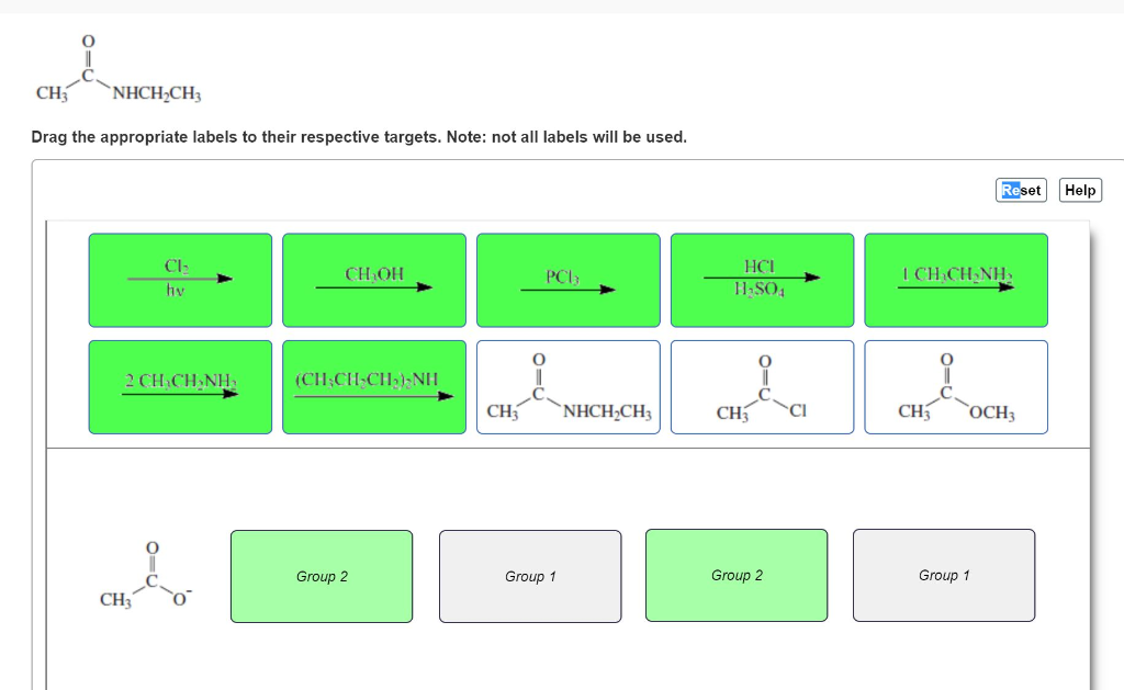 Solved CH3 NHCH2CH3 Drag the appropriate labels to their | Chegg.com
