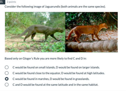 Solved 21 2 points Consider the following image of | Chegg.com