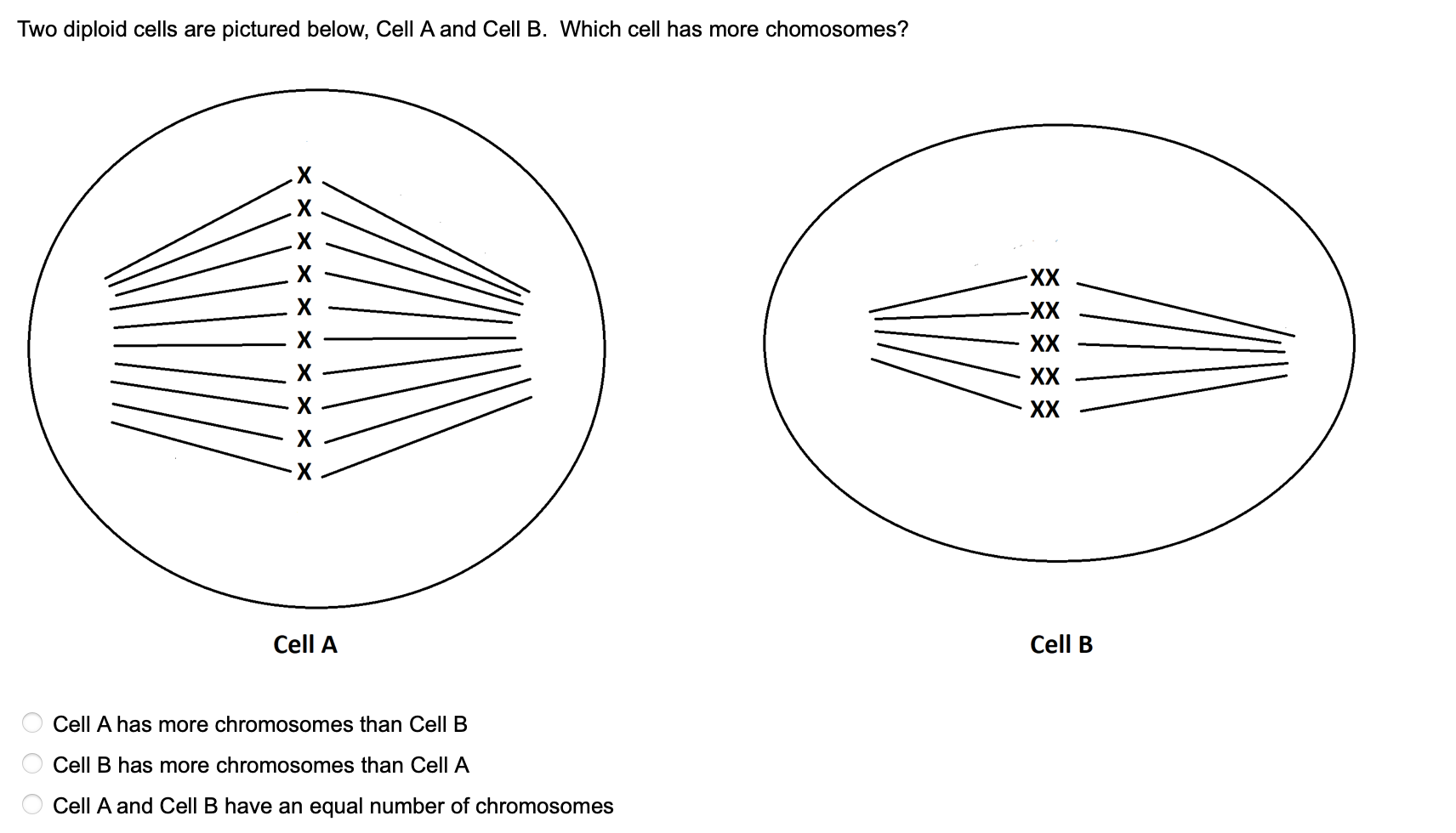 Solved Two diploid cells are pictured below, Cell A and Cell | Chegg.com