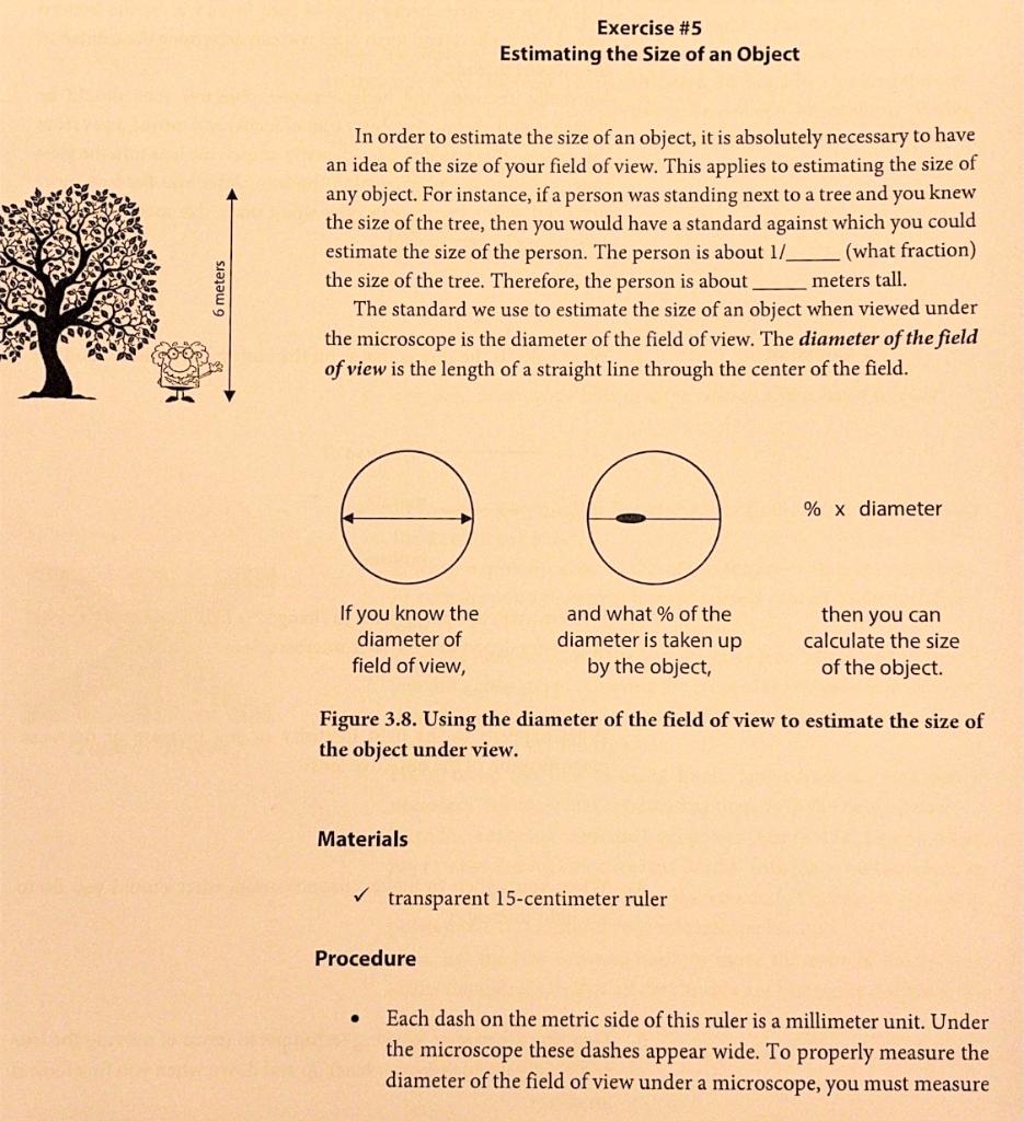 Solved Exercise #5 Estimating the Size of an Object In order | Chegg.com
