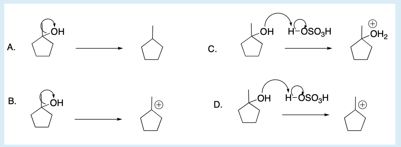 Solved What is the first step in the dehydration reaction | Chegg.com