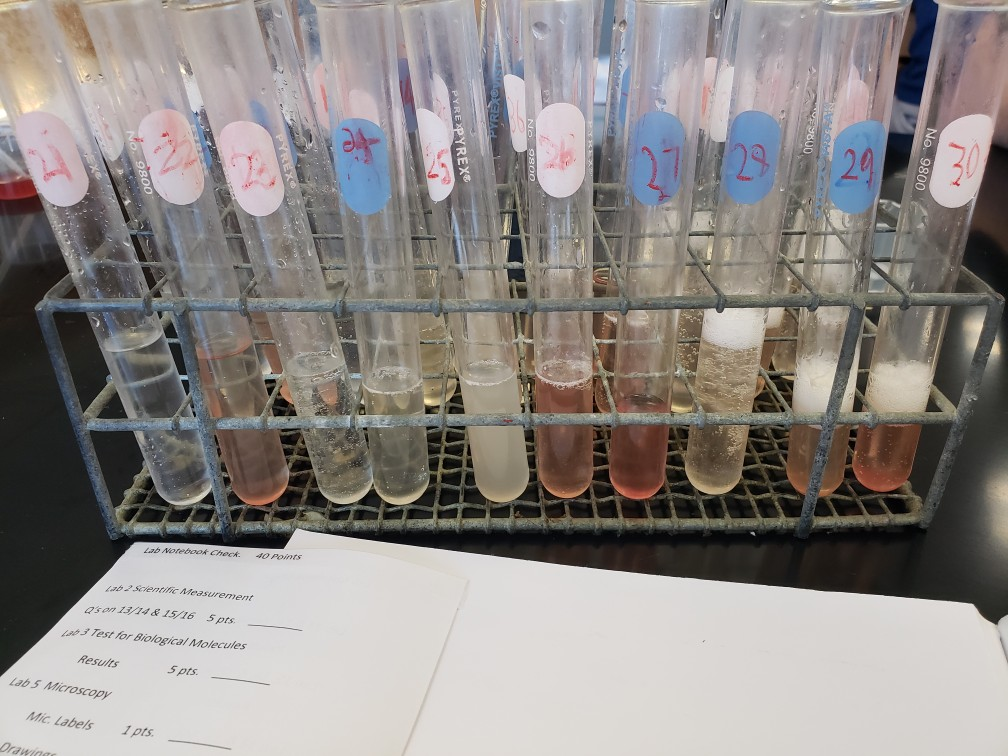 Solved stem of the fuine of the beaker Table 12.3 *рН | Chegg.com