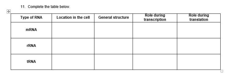 Solved 11. Complete the table below. + Type of RNA Location | Chegg.com