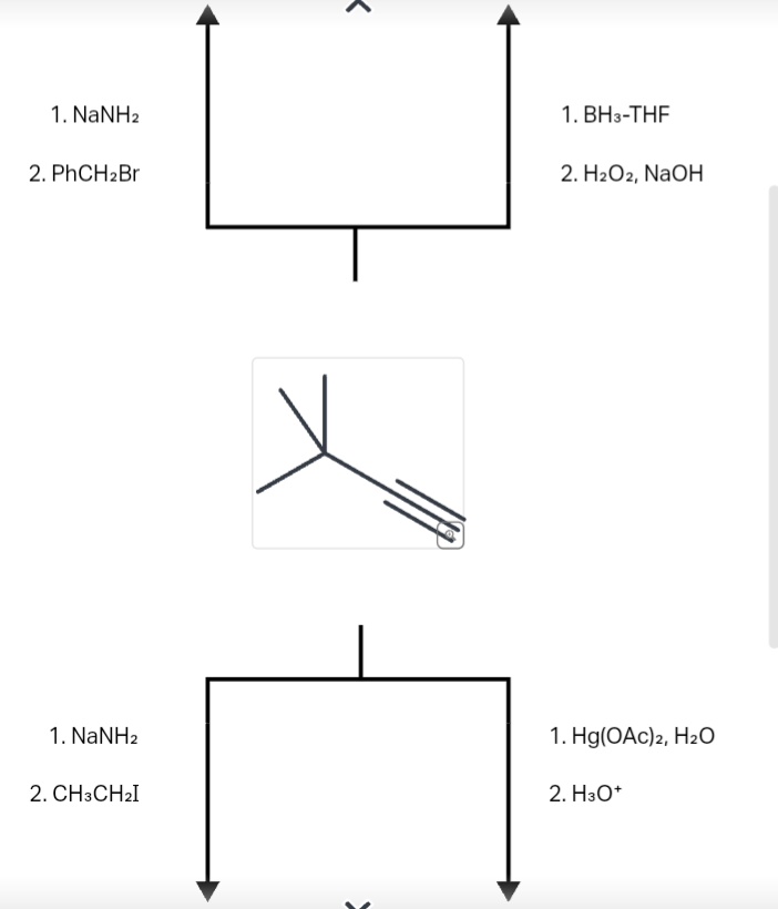 1. NaNH2 2. PhCH2Br 1. BH3−THF 2. H2O2,NaOH 1. NaNH2 | Chegg.com