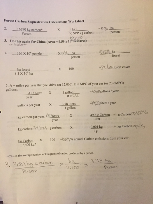 Forest Carbon Sequestration Calculations Worksheet 2. | Chegg.com