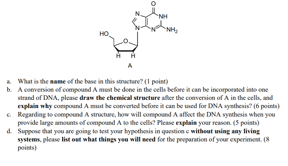 Solved NH NH2 Hoof А a. What is the name of the base in this | Chegg.com