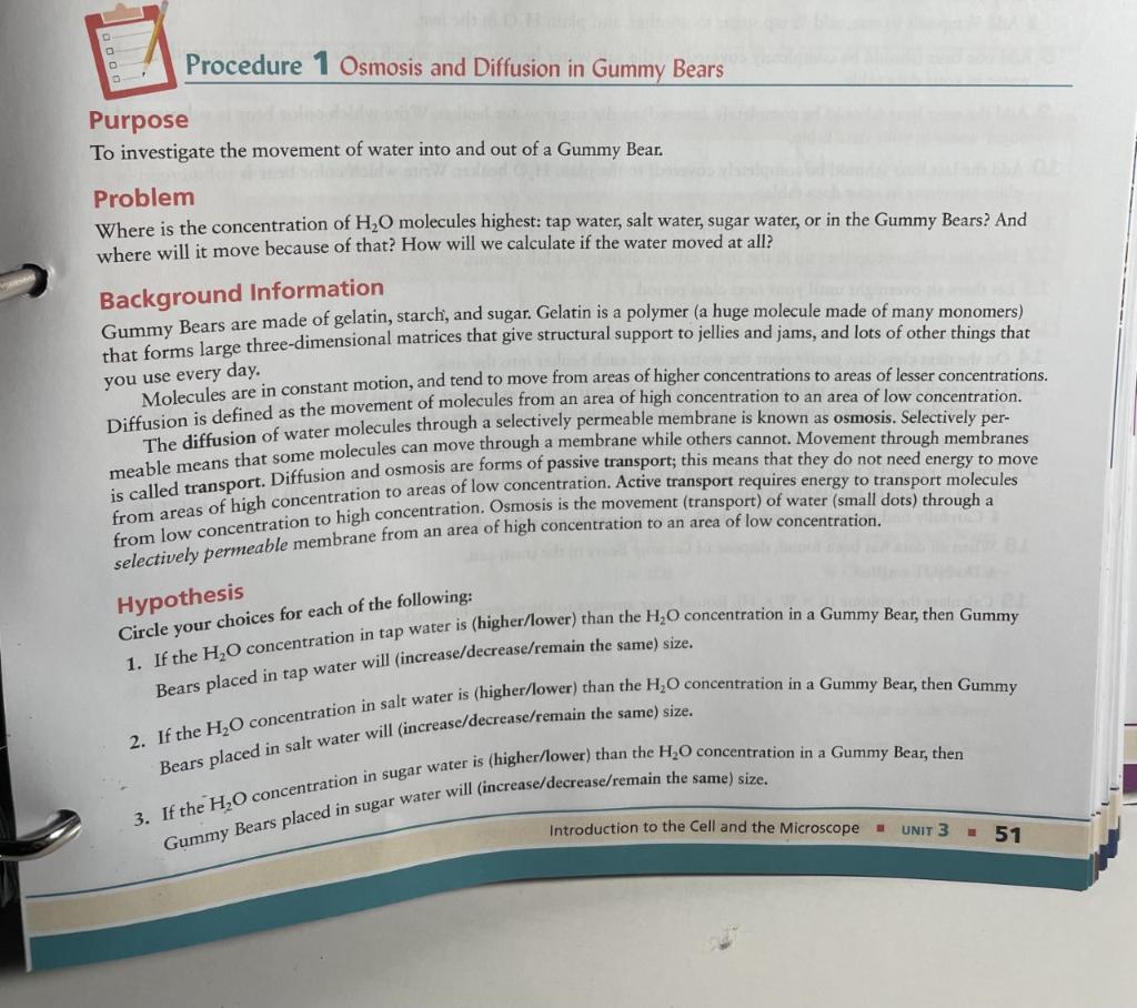 Solved Procedure 1 Osmosis and Diffusion in Gummy Bears | Chegg.com