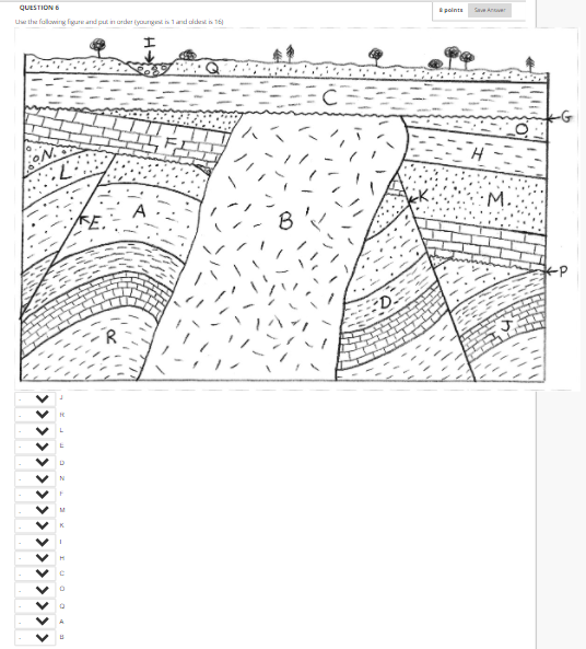 Solved Use the following figure and put in order (youngest | Chegg.com