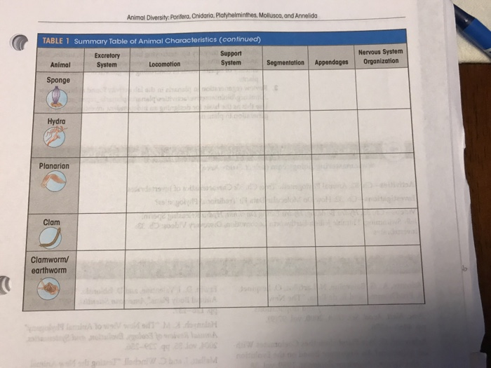 Solved Animal Diversity: Porifera, Cnidaria, | Chegg.com