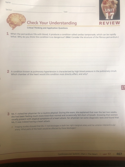 Solved Name Section UNIT Date Check Your Understanding | Chegg.com
