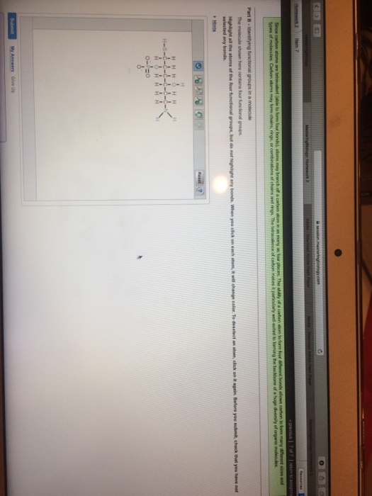 Solved The molecule shown here contains four functional | Chegg.com