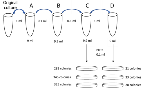 Solved Solve the serial dilution scheme below to identify | Chegg.com