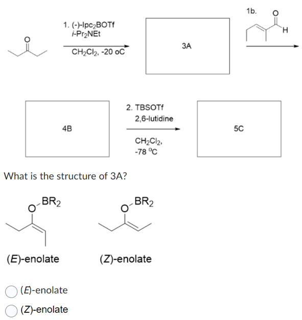 What is the structure of 3A ? (E)-enolate (Z)-enolate | Chegg.com