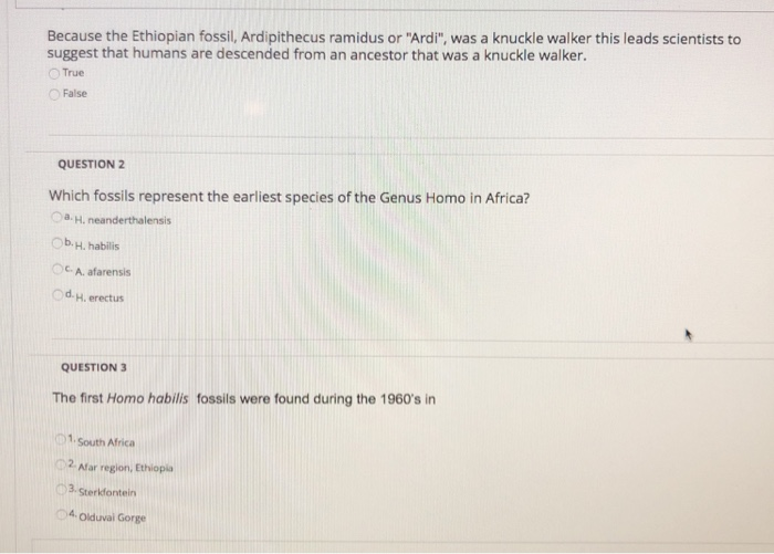 Solved Because The Ethiopian Fossil Ardipithecus Ramidus Or