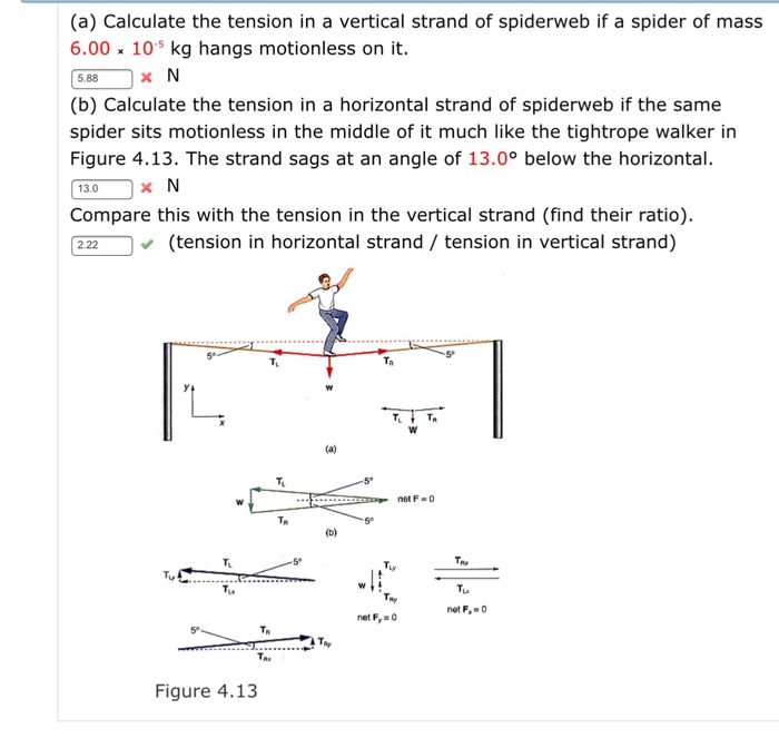Solved (a) Calculate the tension in a vertical strand of | Chegg.com
