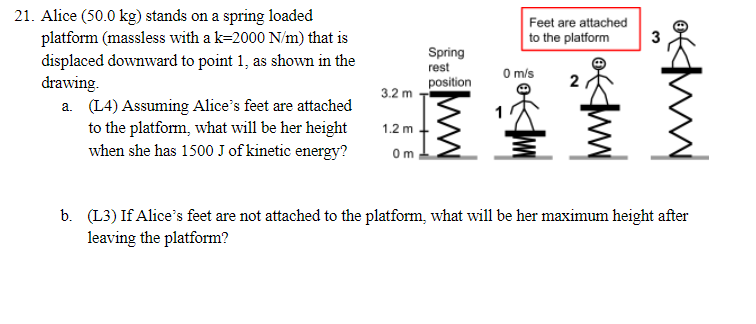 Solved Feet are attached to the platform 21. Alice (50.0 kg) | Chegg.com