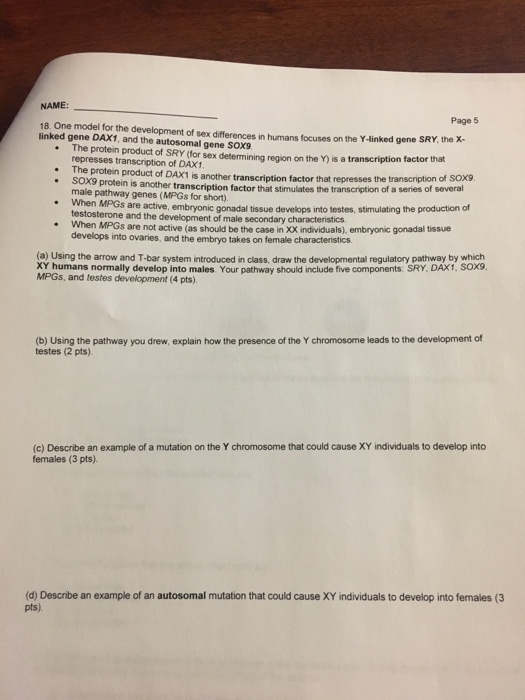 Section 2: Short answer and Problem Solving. In this | Chegg.com