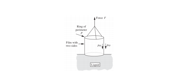 Solved Calculate the force required to lift a thin ring of | Chegg.com
